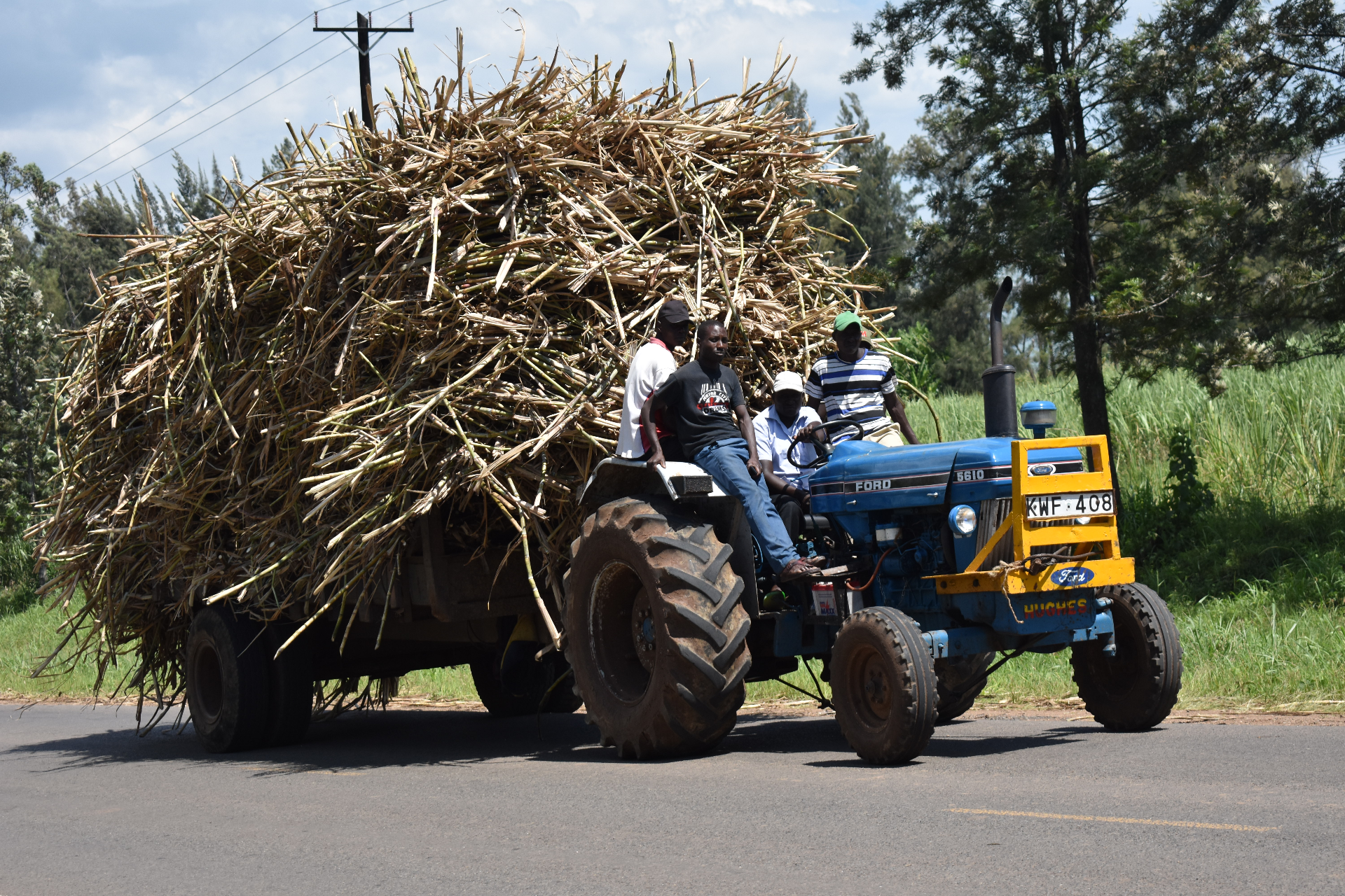 Enhancing Efficiency in Sugarcane Transportation and Logistics